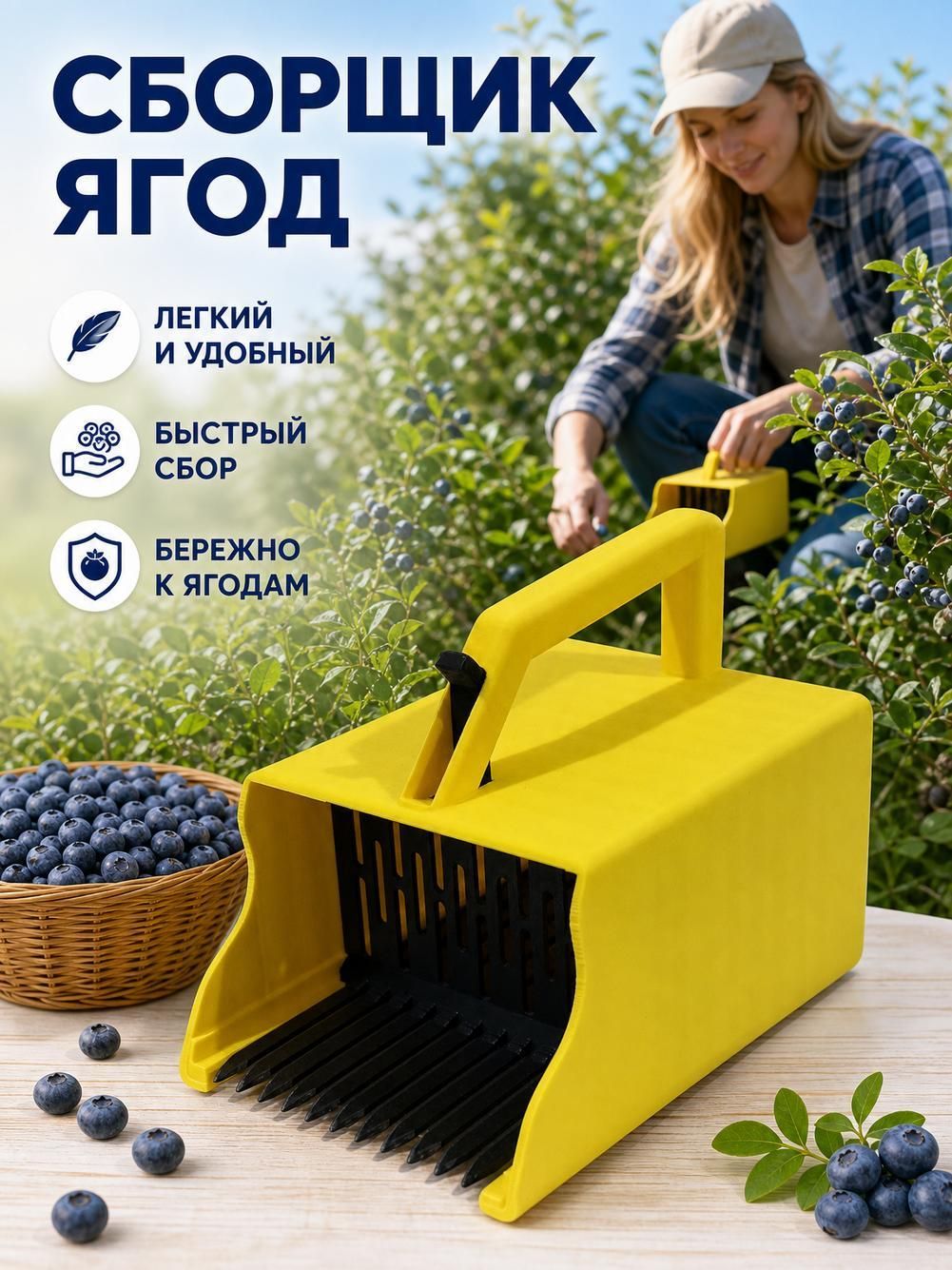 Плодосборник