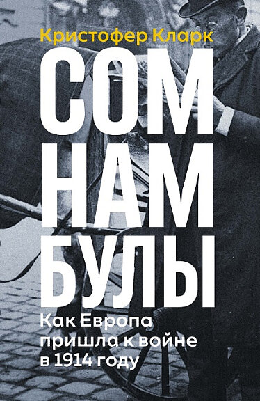 Сомнамбулы: Как Европа пришла к войне в 1914 году. Первая мировая в подробностях
