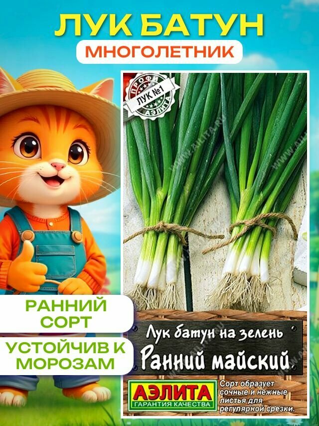 Лук Батун на зелень Ранний Майский, семена лука на зелень Агрофирма аэлита 0,5г семена лука батун лук на зелень