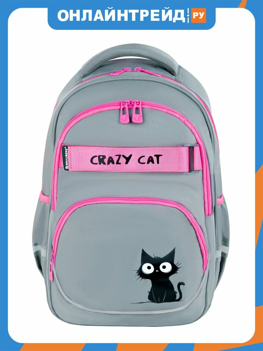 Рюкзак Brauberg MOTION Crazy cat 273115