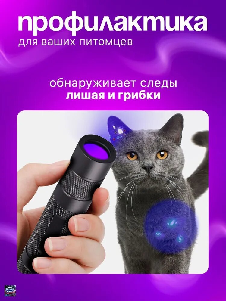 Фонарь-прожектор