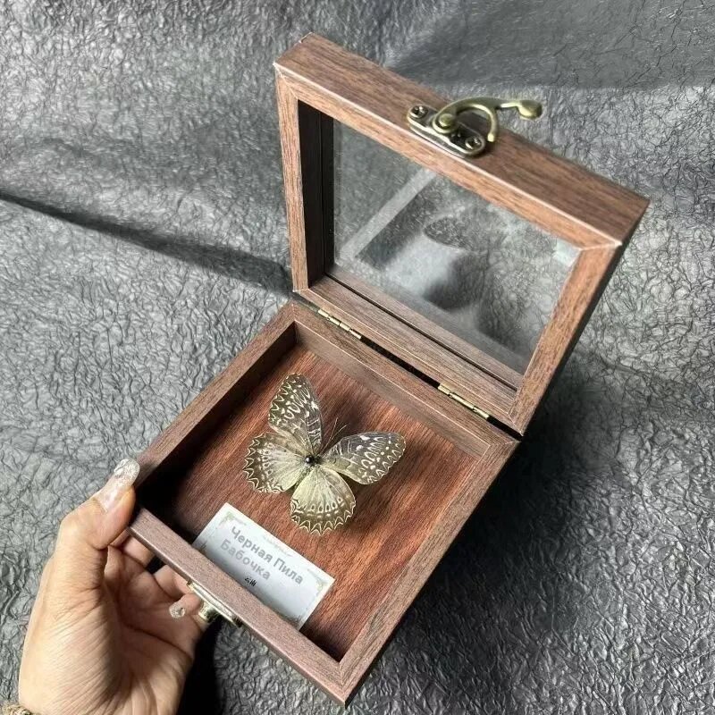 Бабочка в рамке под стеклом 3D, энтомологическая коллекция 1 шт, интерьерный декор для дома, офиса и кабинета