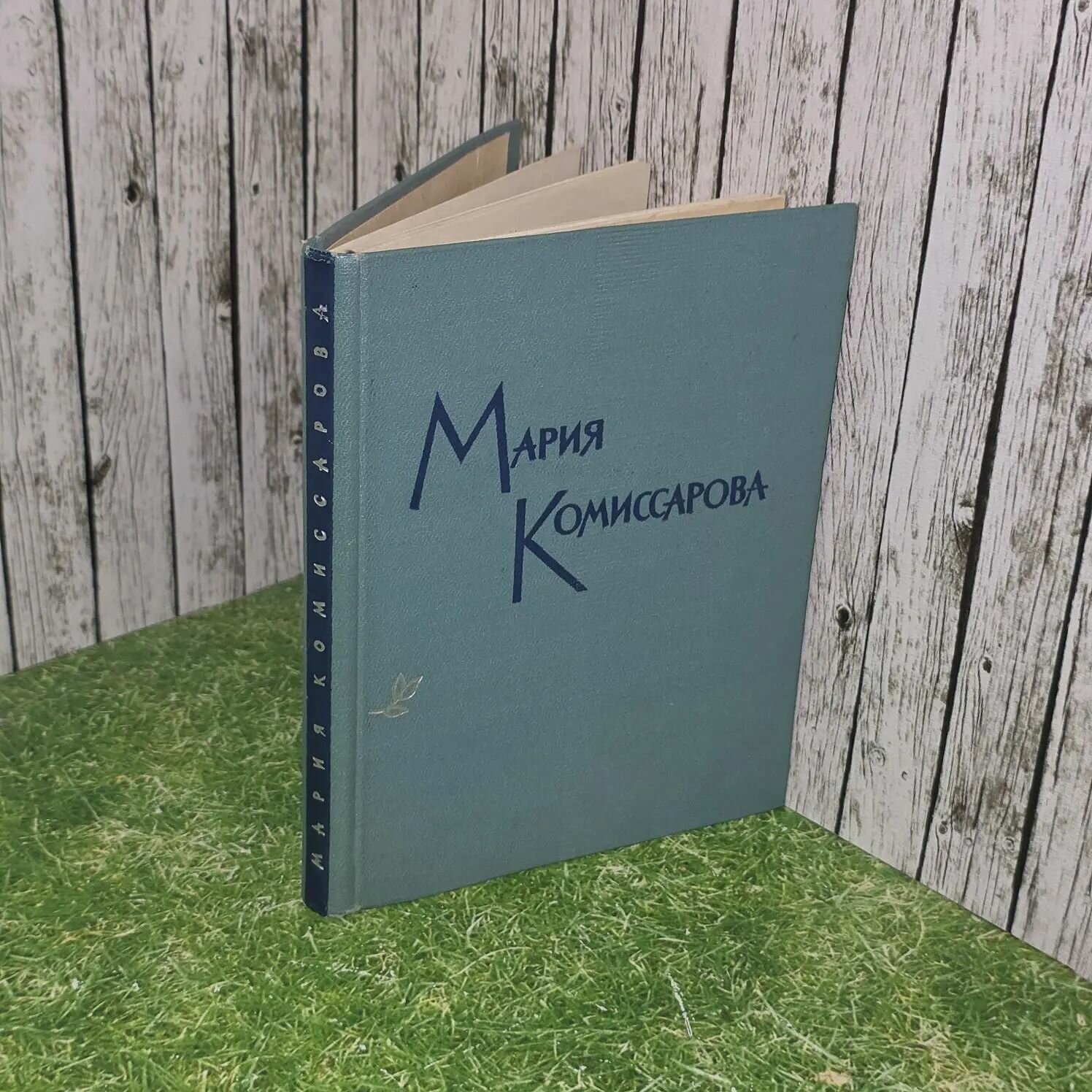 Мария Комиссарова. Стихотворения. Лиза Чайкина