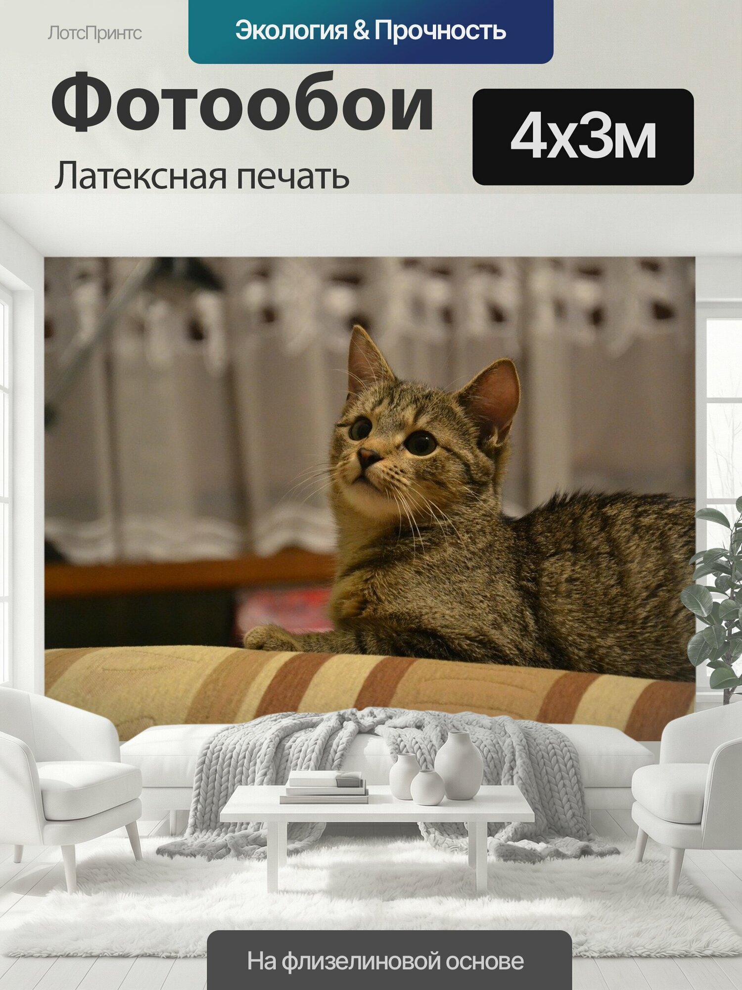 Фотообои моющиеся ударопрочные "Кошка, котенок, tomcat" 400x300 см. латексная печать