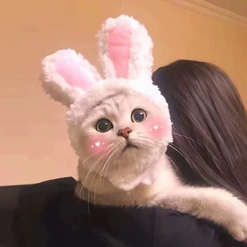 Милый головной убор в виде кроличьих ушей для кошек, белый цвет, универсальный размер, аксессуар для кошек, легкий