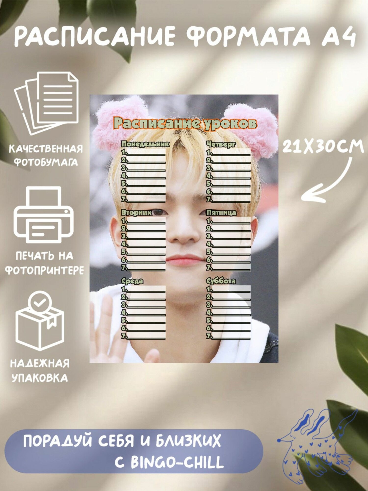 Расписание уроков формата А4, с принтом "Stray Kids"