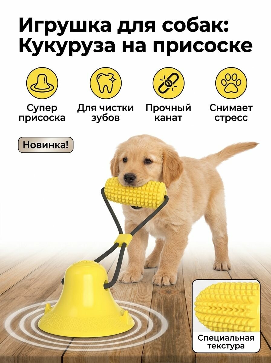 Игрушка для животных IMAGO