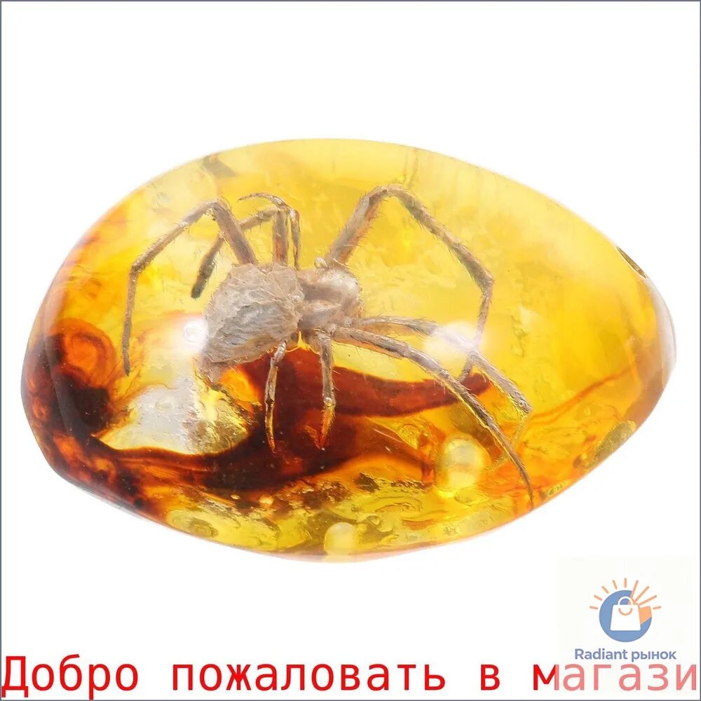 Амбарный Паук В Смоле, Предмет Для Коллекционеров, 1 Упаковка