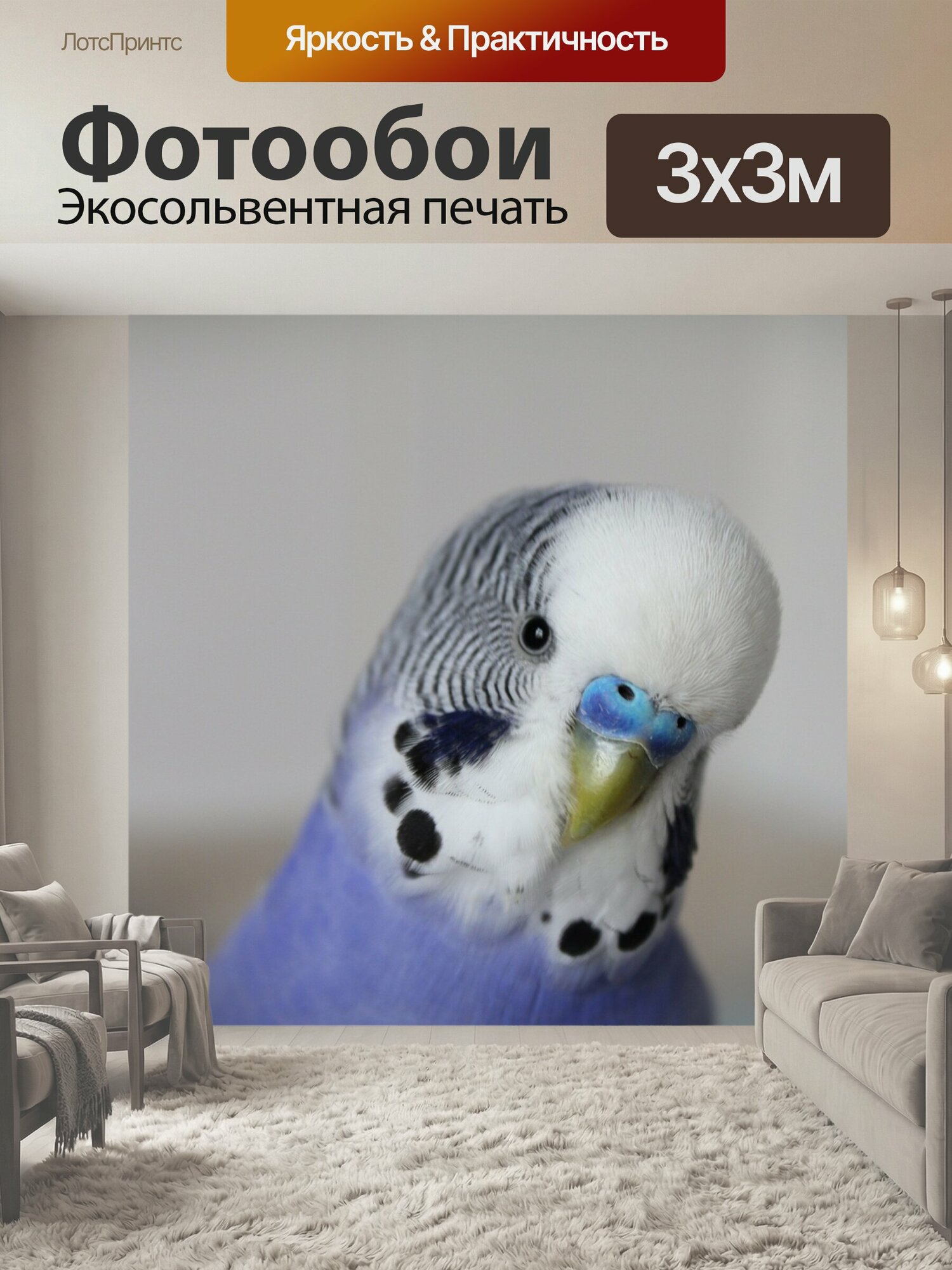 Фотообои "Волнистый попугайчик, синий, попугай" 300x300 см. экосольвентная печать