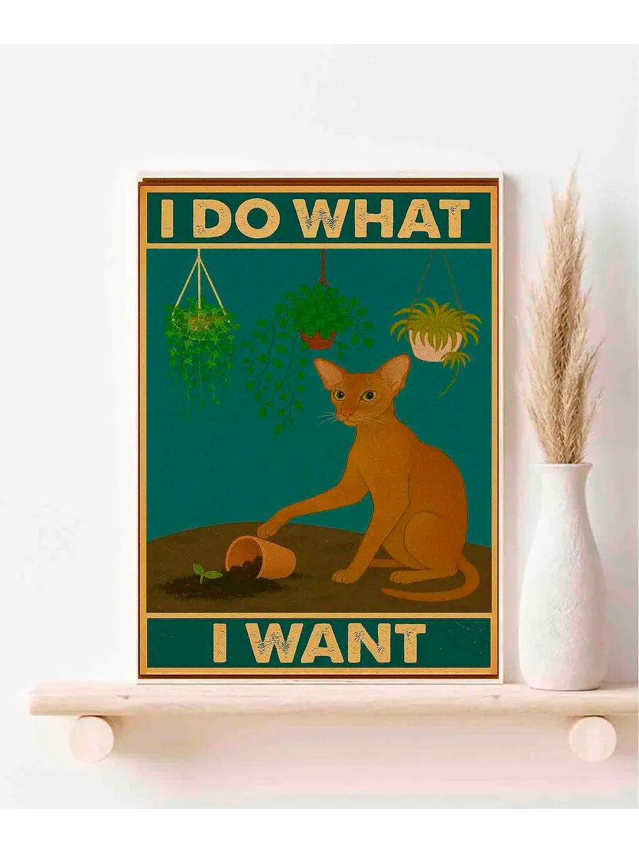 Восточная короткошерстная кошка, I Do What I Want, плакат