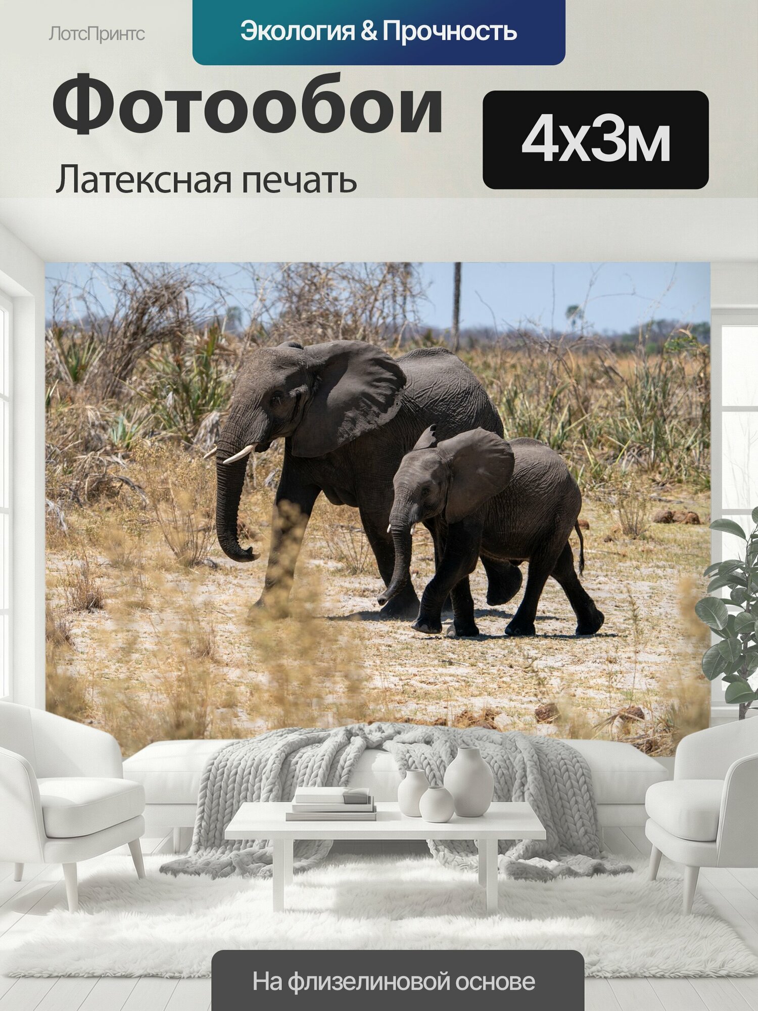 Фотообои моющиеся ударопрочные "Слоны, телец, сафари" 400x300 см. латексная печать