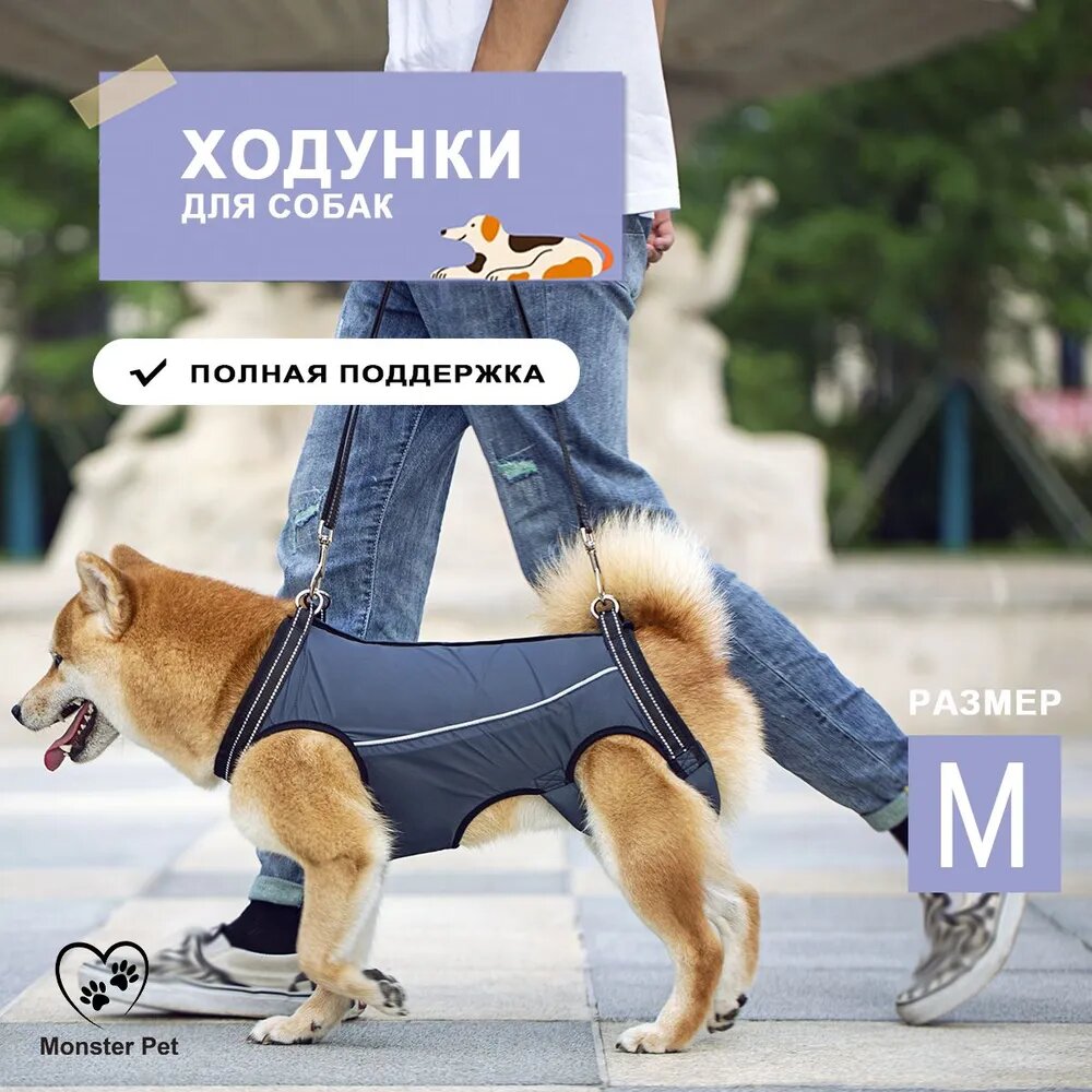 Пожилая собака, собака-инвалид, пояс для помощи при выгуле, размер M
