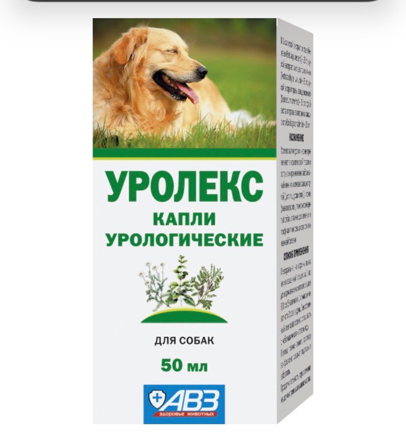 АВЗ Уролекс капли для собак средних и крупных пород, урологические 50 мл