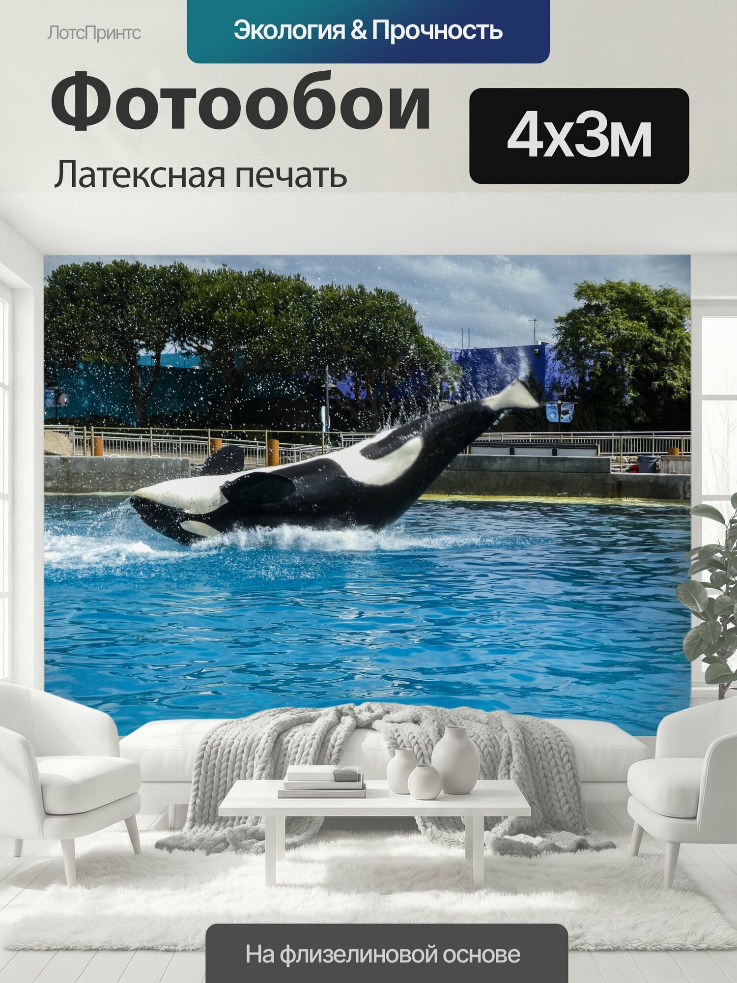 Фотообои моющиеся ударопрочные "Касатка черно-белый ORCA-кит в Sea World, Сан-Диего, Калифорния, делает флип кит киты черный белый кит орка сан." 400x300 см. латексная печать