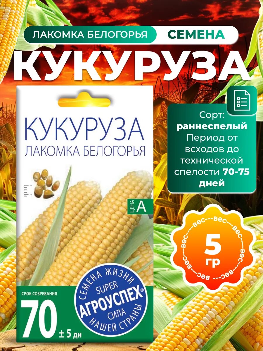 Семена кукурузы Лакомка Белогорья, 5г