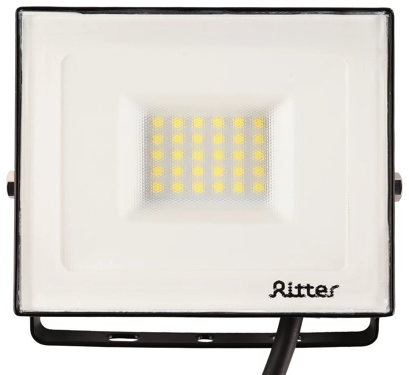 Прожектор светодиодный Ritter Profi 6500K 30 Вт IP65 черный