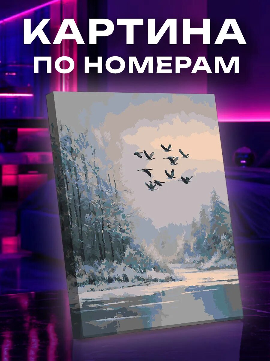 Картина по номерам Гуси