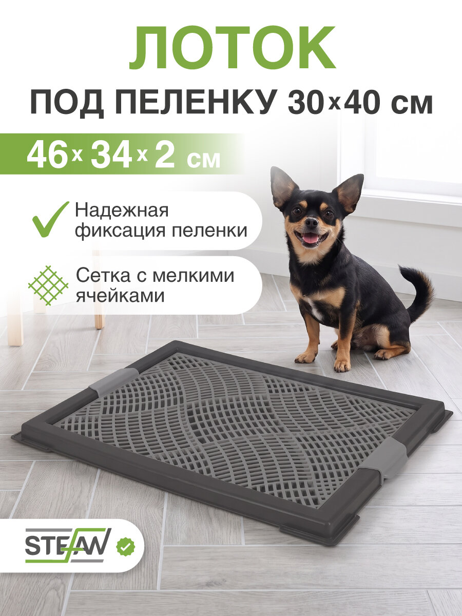 Лоток для собак под пеленку, с сеткой STEFAN (Штефан)(XS) 46х34х2, BP1049, темно-серый