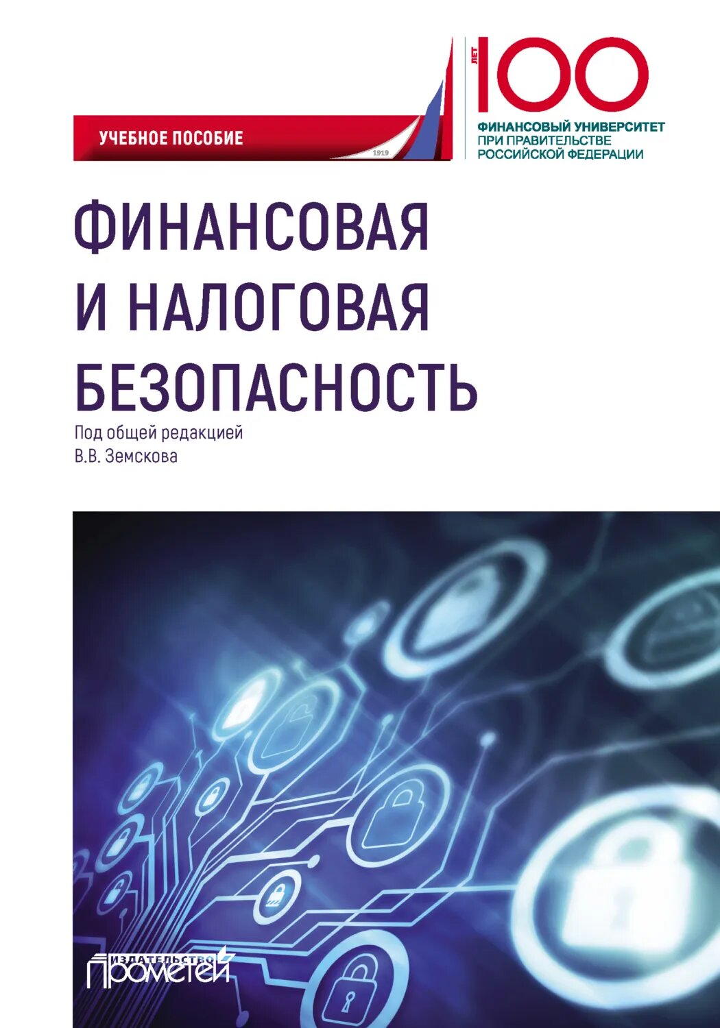 Финансовая и налоговая безопасность [Цифровая книга]