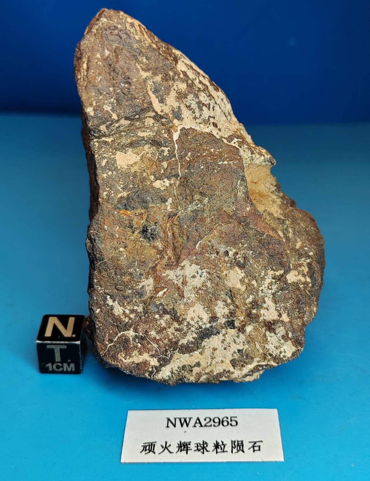 282г Алжир, NWA 2965 EL MELTROCK каменный метеорит
