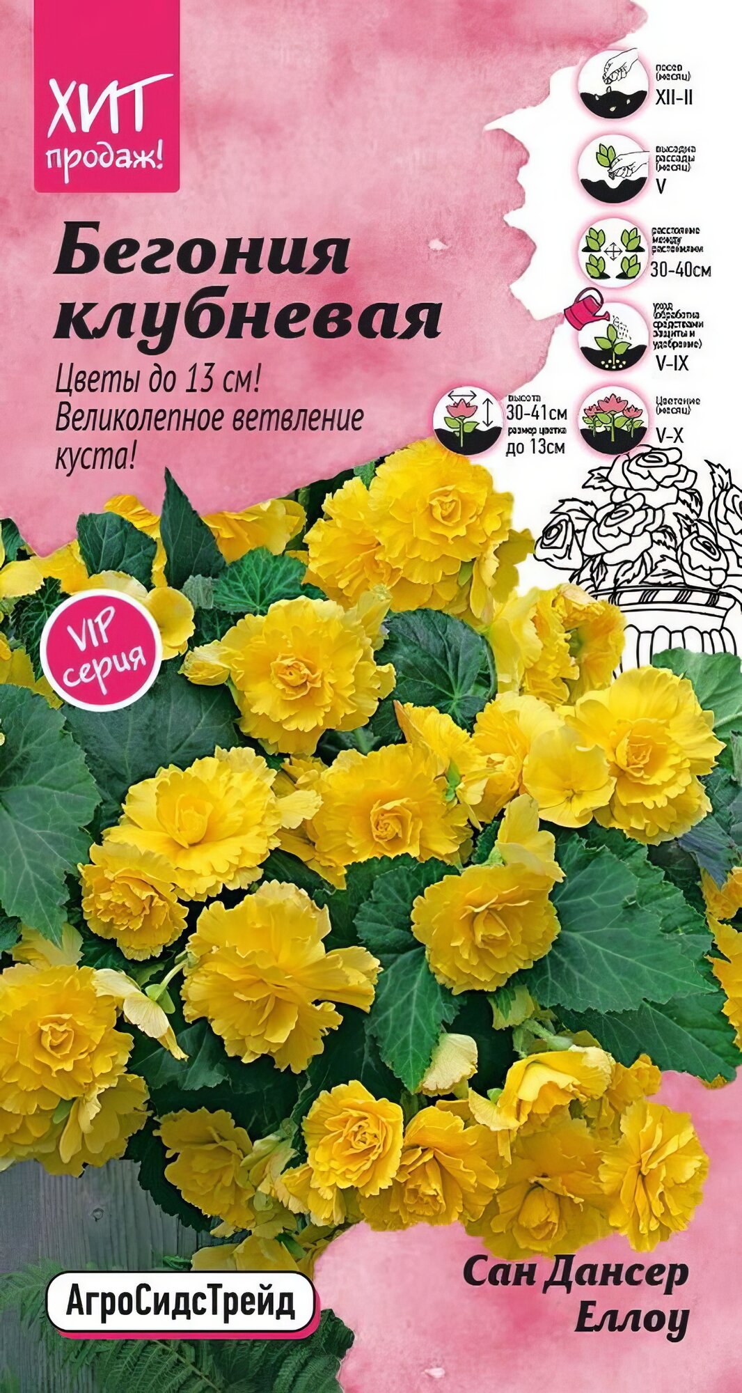 Семена Бегония клубневая Сан дансер Еллоу 5 шт АСТ