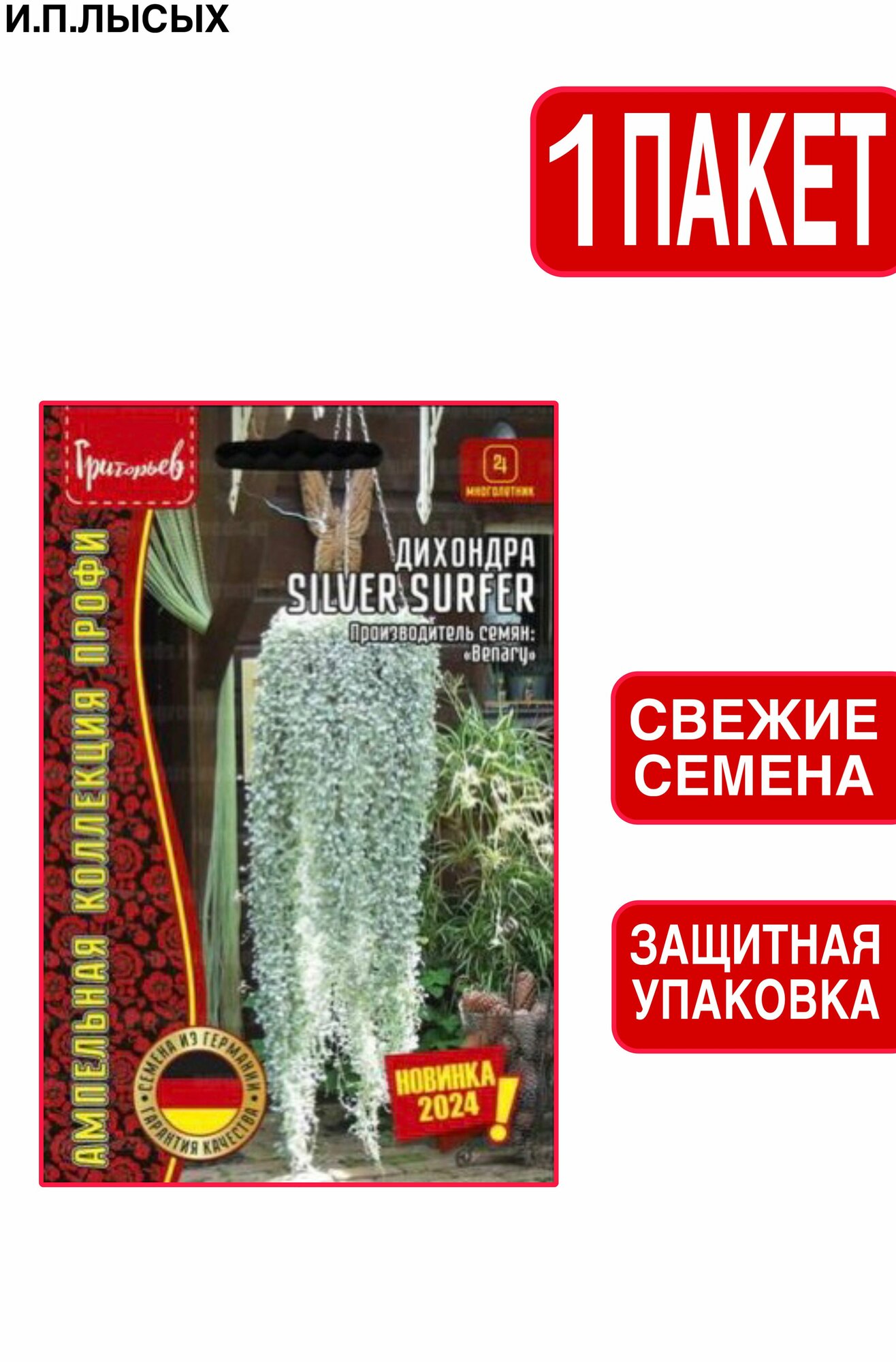 Дихондра Silver Surfer