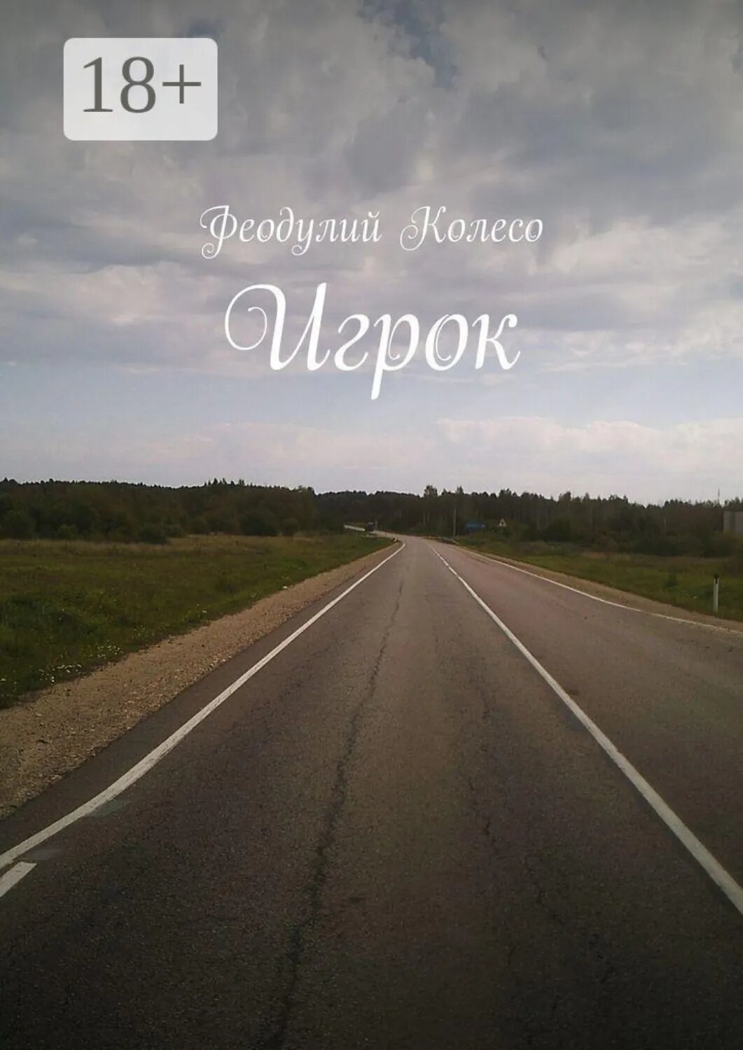 Игрок [Цифровая книга]
