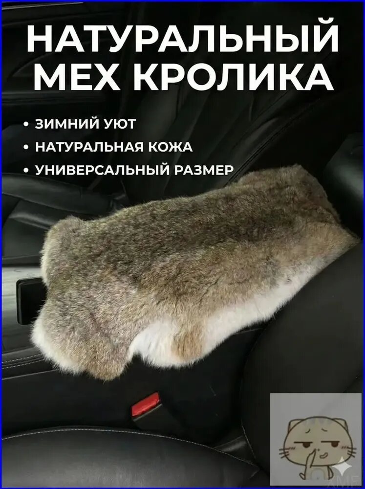 Шкура