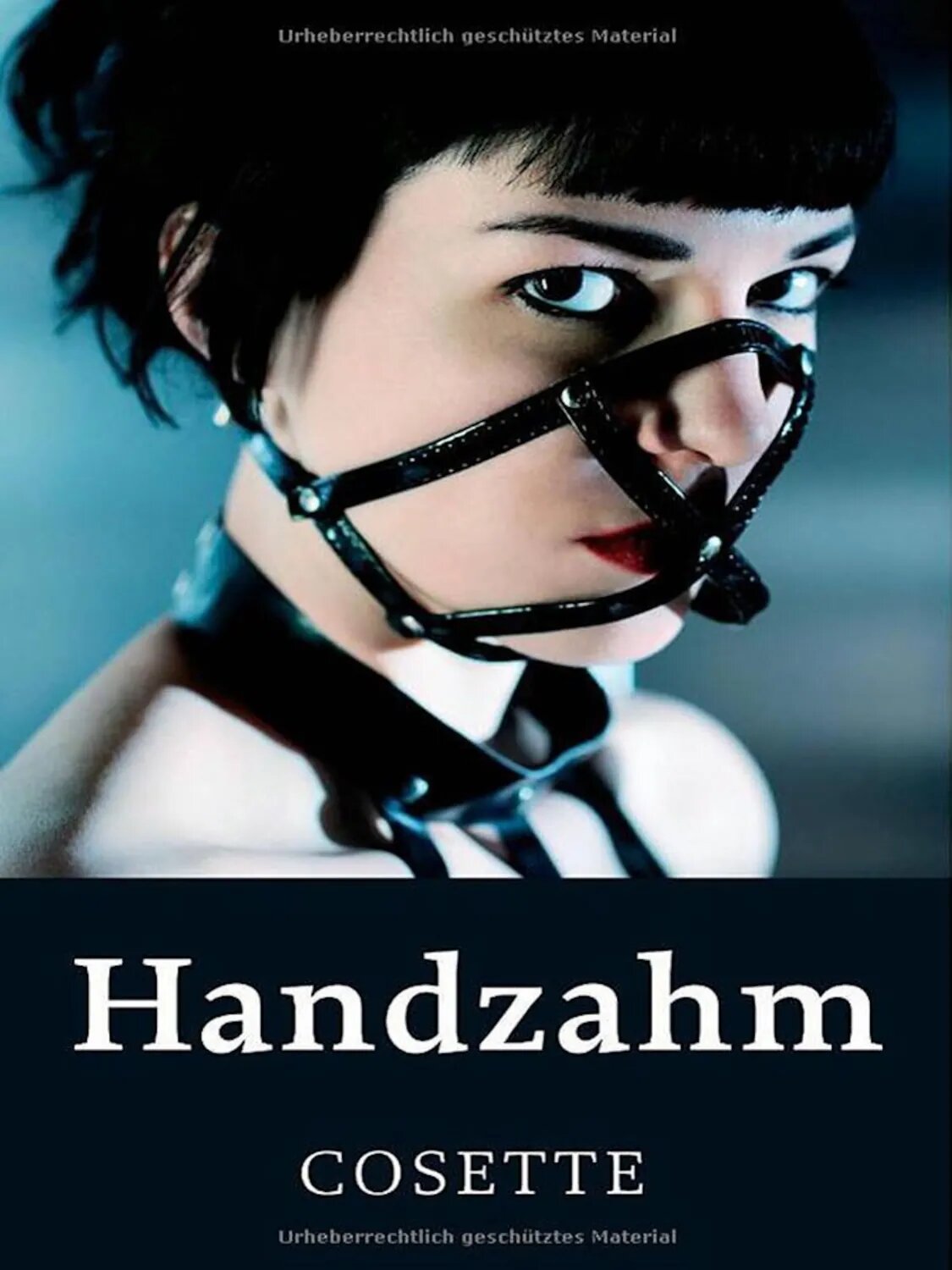 Handzahm [Цифровая книга]