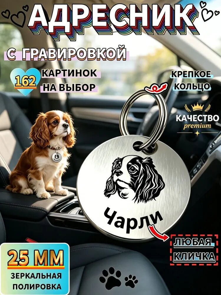Адресник для собак с гравировкой породы 25x25x1.5mm