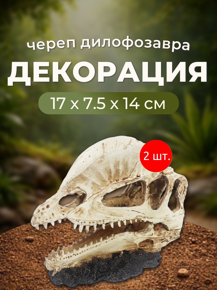 Декорация 2 шт. Nomoy Pet "Череп дилофозавра" 17х7.5х14 см. Номой Пет