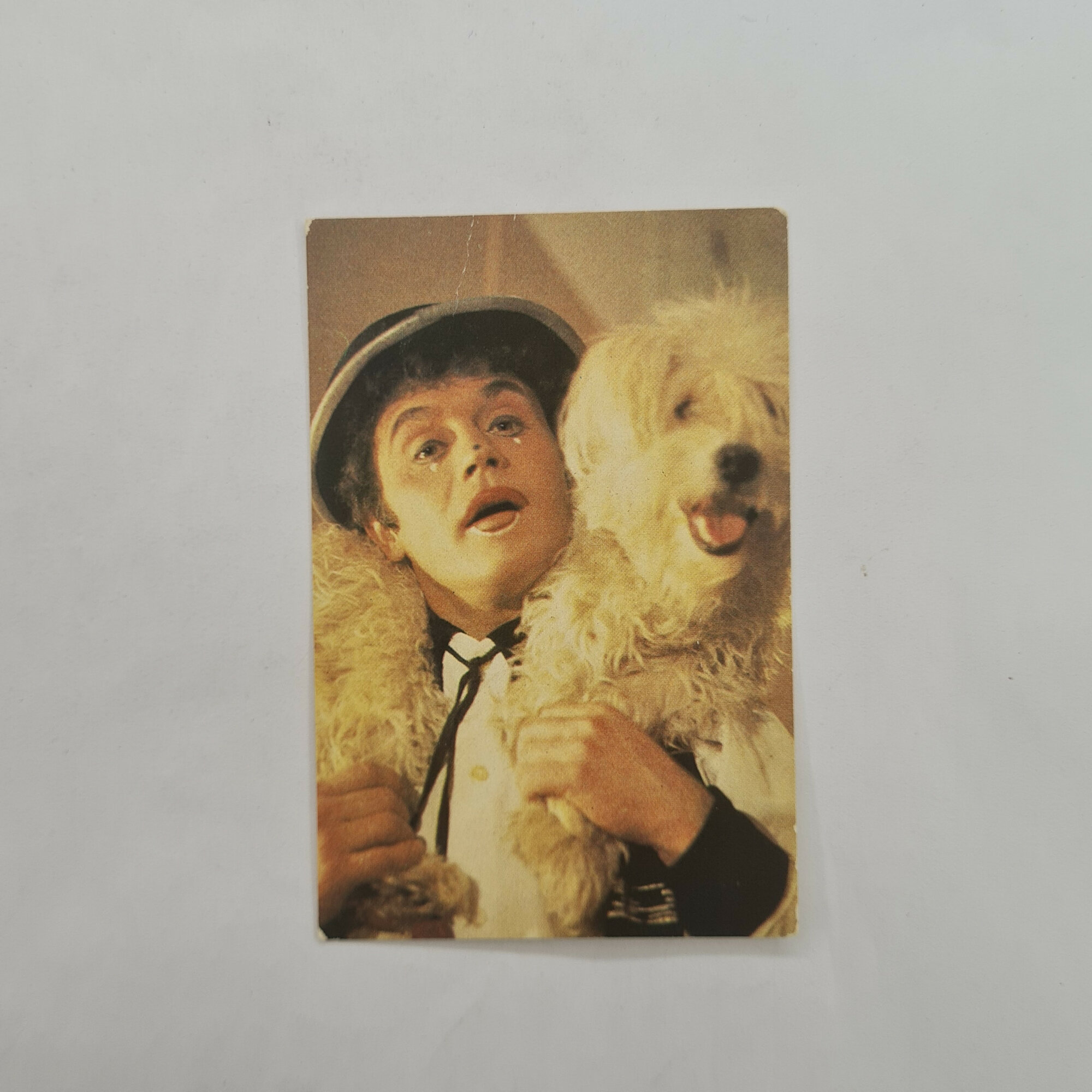 Карманный календарик СССР 1982. Клоун Май с пушистой собакой, цирковая тематика. Советский календарь