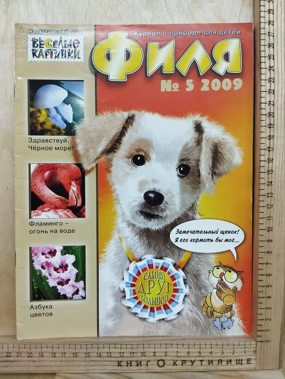 Журнал "Филя" №5 2009 г.
