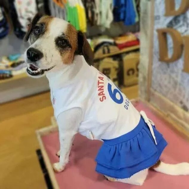 DOG DEPT 66 Калифорнийская автострада юбка для маленьких собак, размер 5