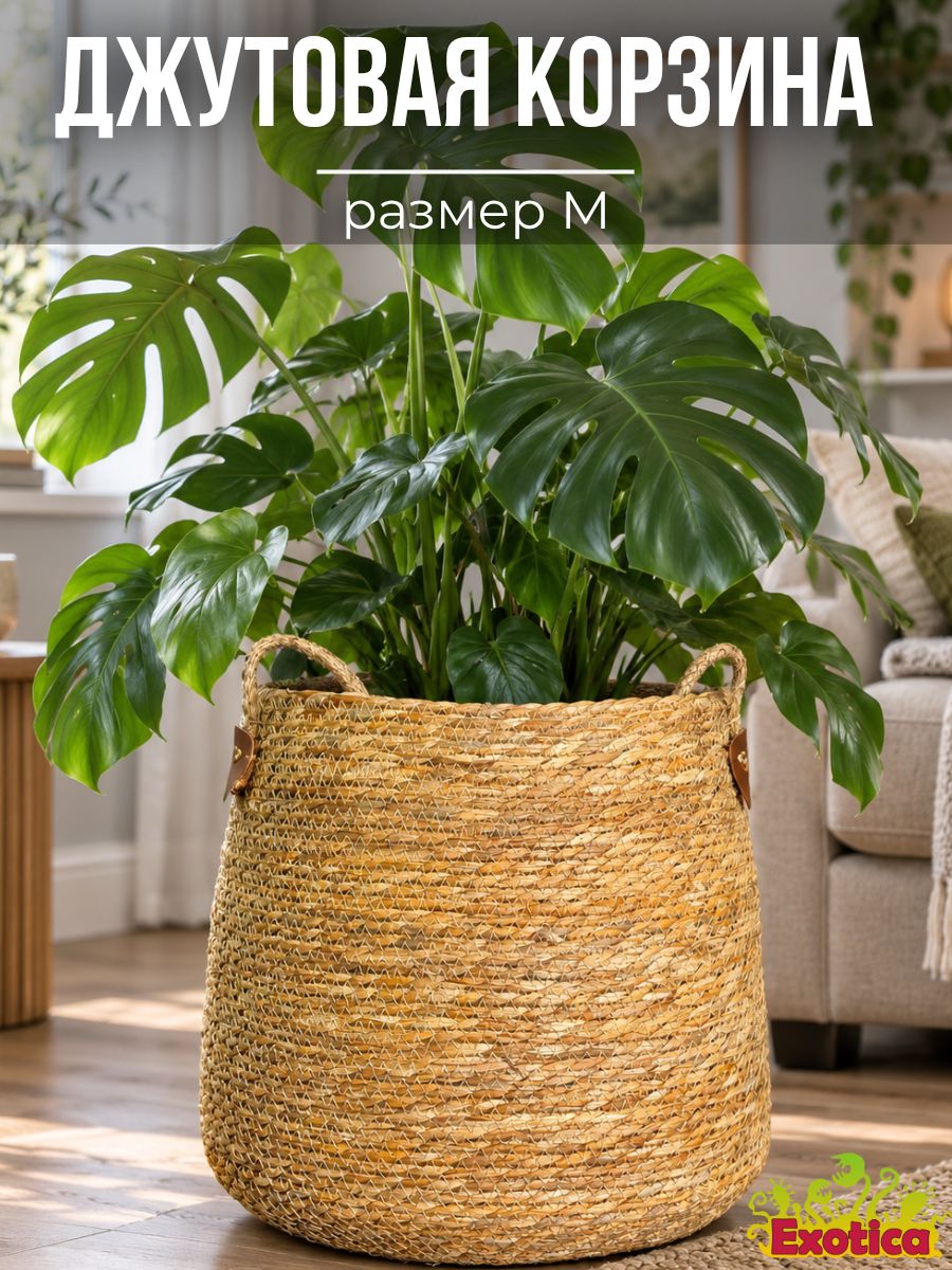 Джутовый горшок - корзина для растений (цветов), размер M