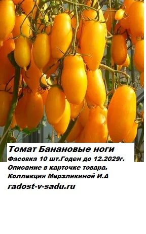 Томат Банановые ноги семена 10 штук