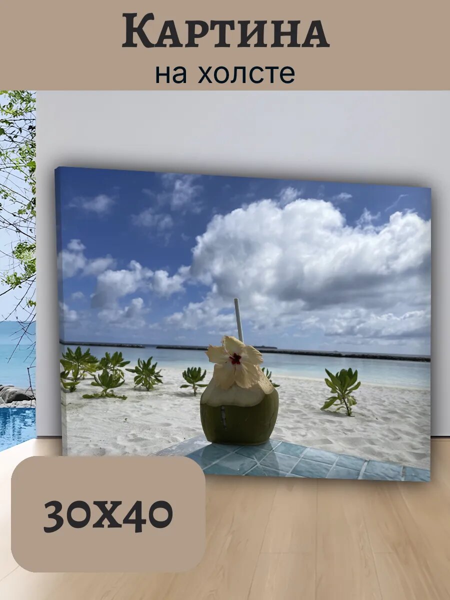 Картина Постер Мальдивы 30x40 с кокосом и пляжем