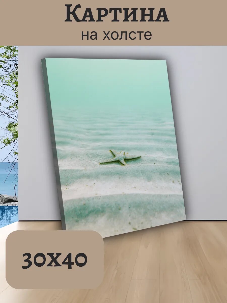 Картина Постер Мальдивы Maldives 30x40 морская звезда