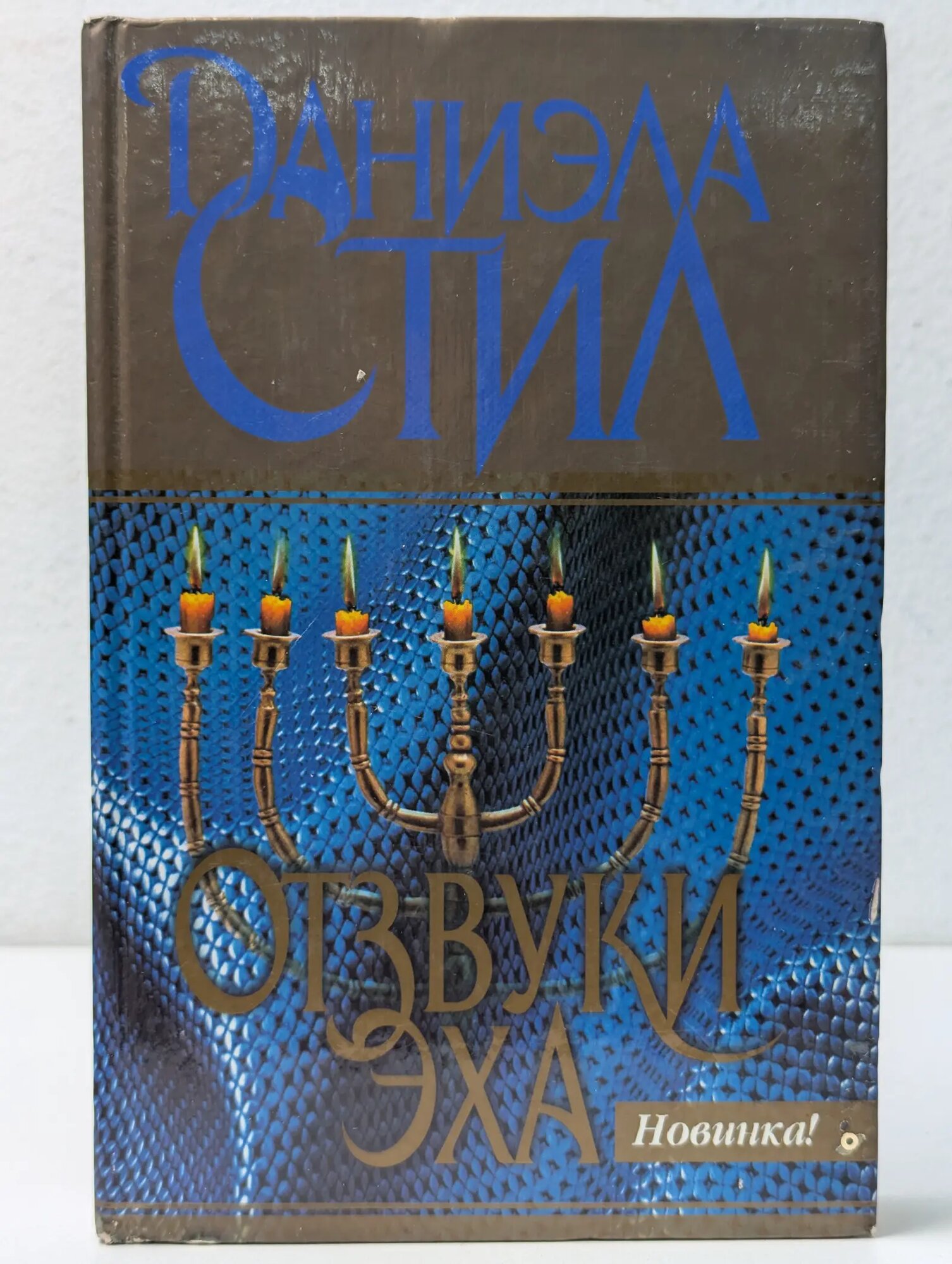 Отзвуки эха Стил Даниэла 2006