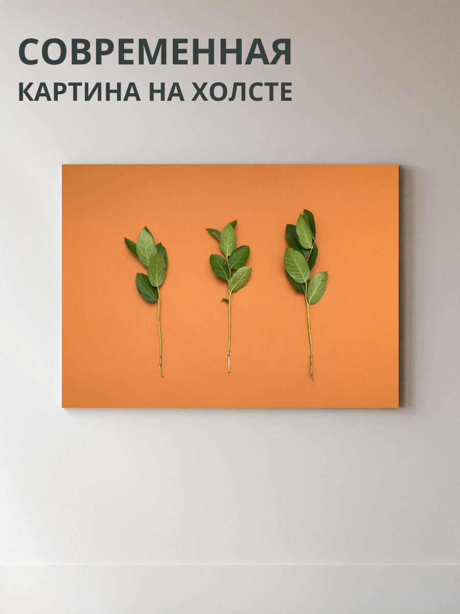 Картина на холсте Растительная композиция 70x50 см