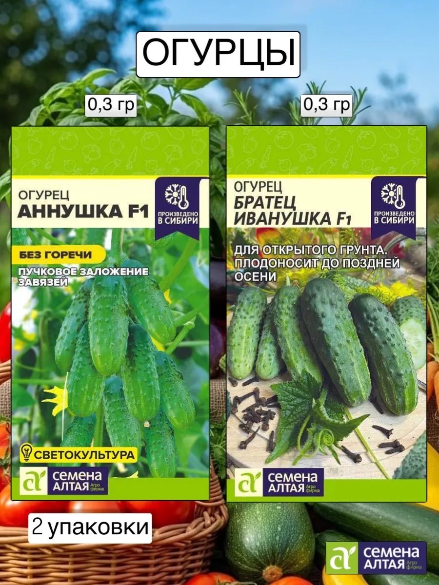 Семена огурцов алтай