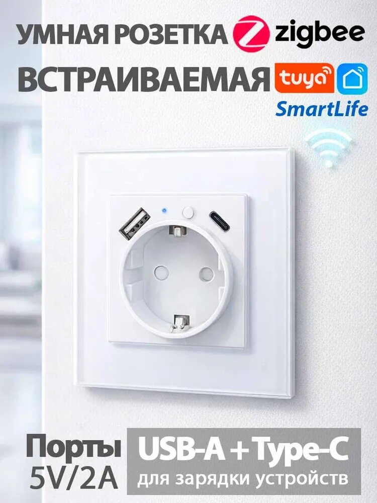 Умная розетка Zigbee TY-201 220 В Smart Life с USB и Type-C (встраиваемая)
