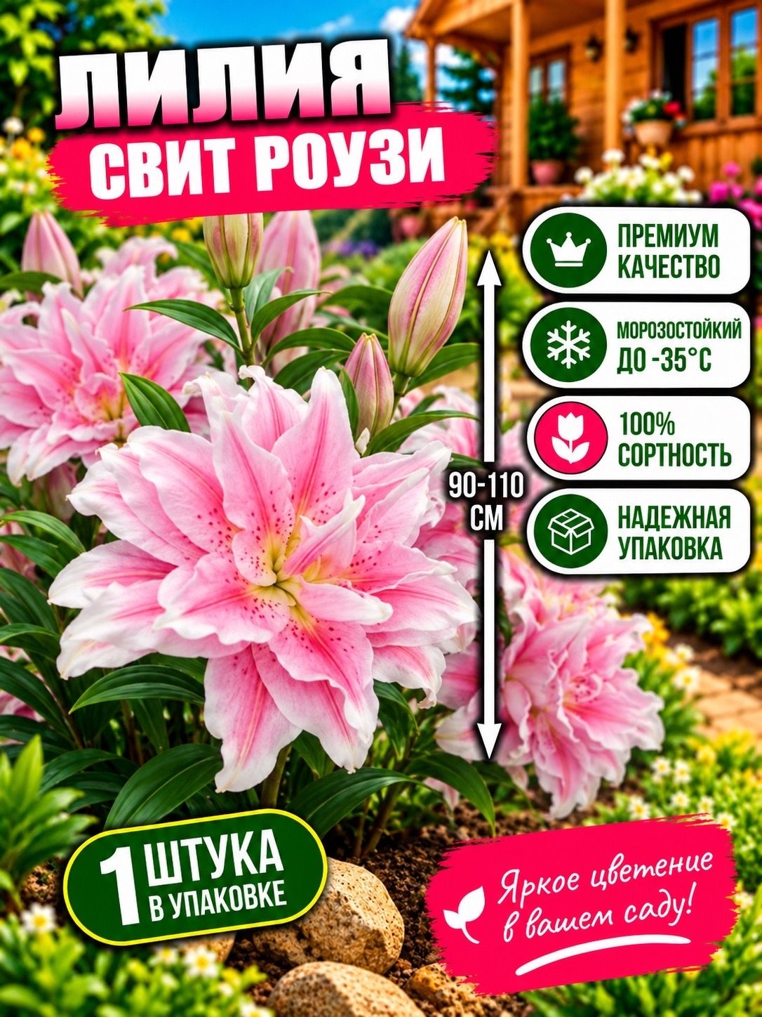 Луковица лилии "Свит Роузи"