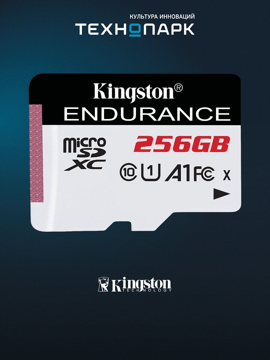 Карта памяти Kingston High Endurance microSDXC 256 Гб Class 10 (SDCE/256GB)