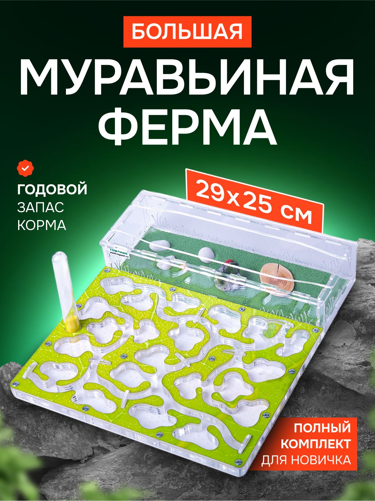 TopAnt Большая муравьиная ферма максимальный комплект формикарий для муравьев