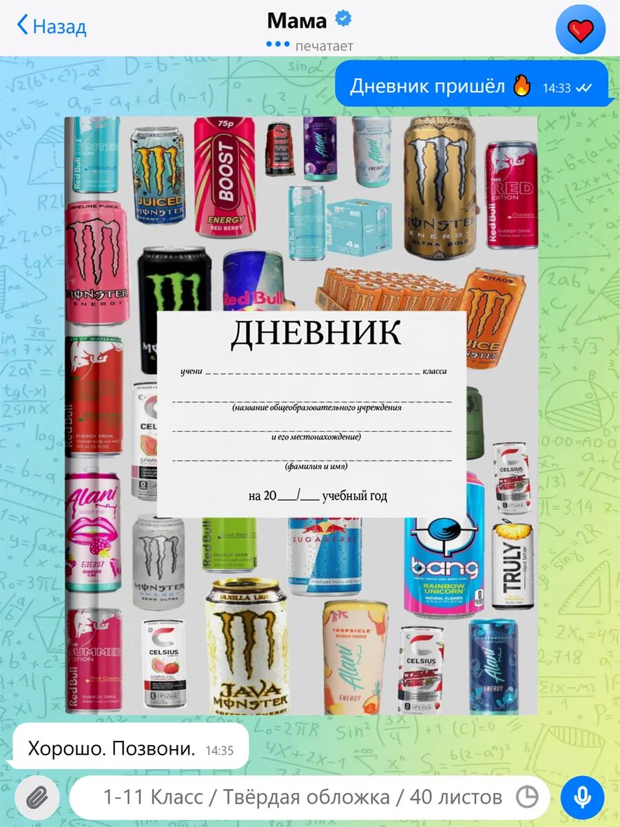 Школьный дневник с принтом y2k pinterest