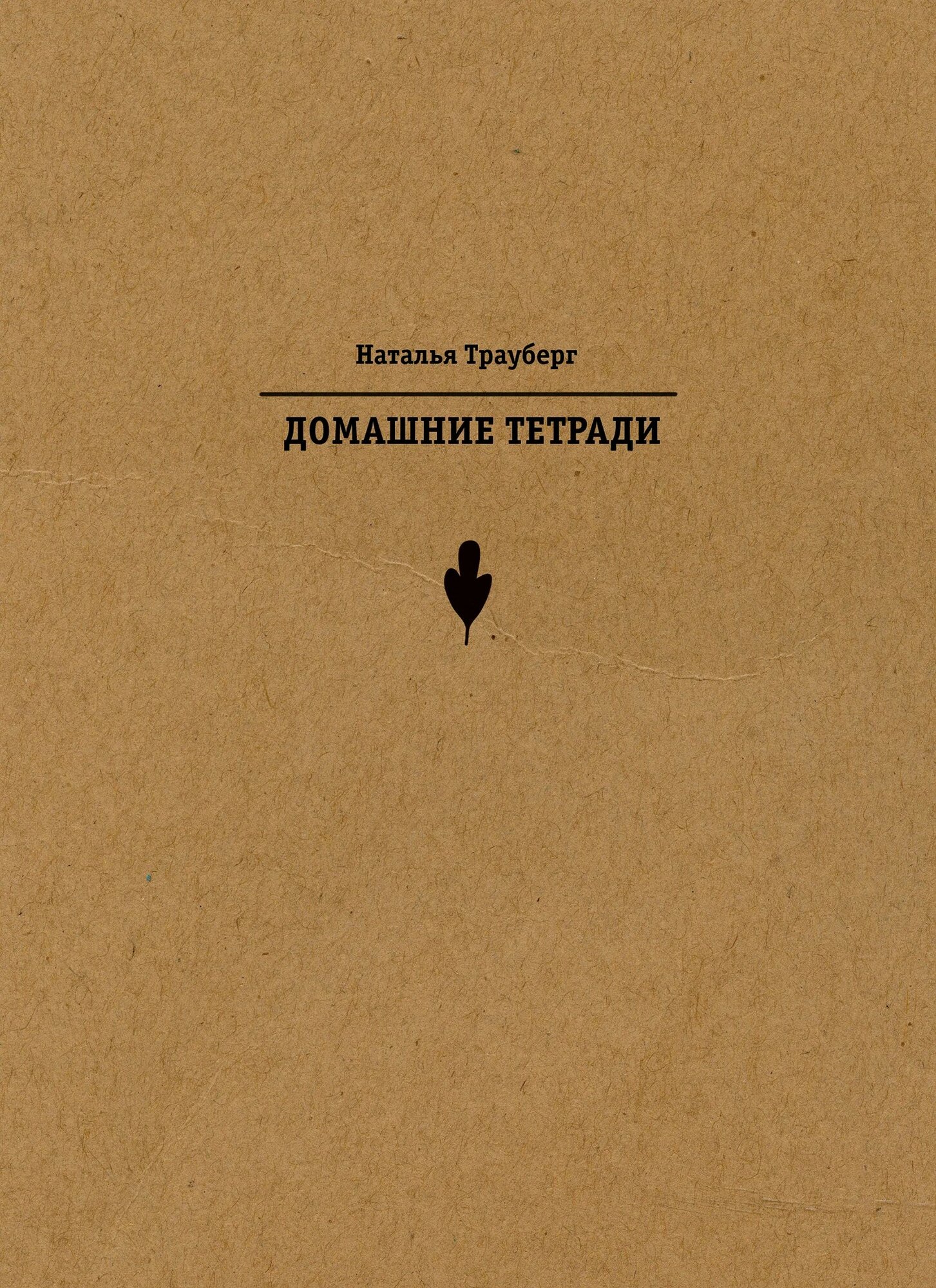 Домашние тетради (комплект)