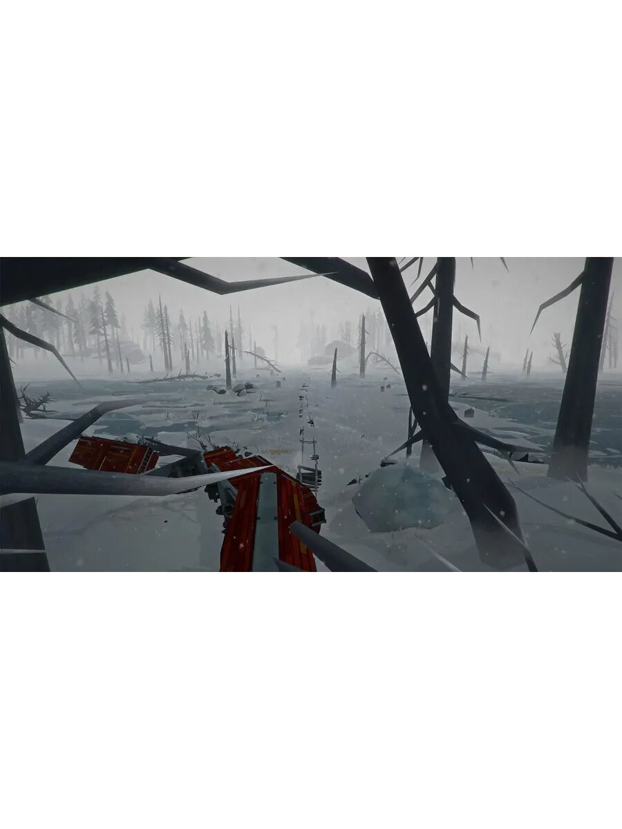 The Long Dark диск PS4 JB — фото 1