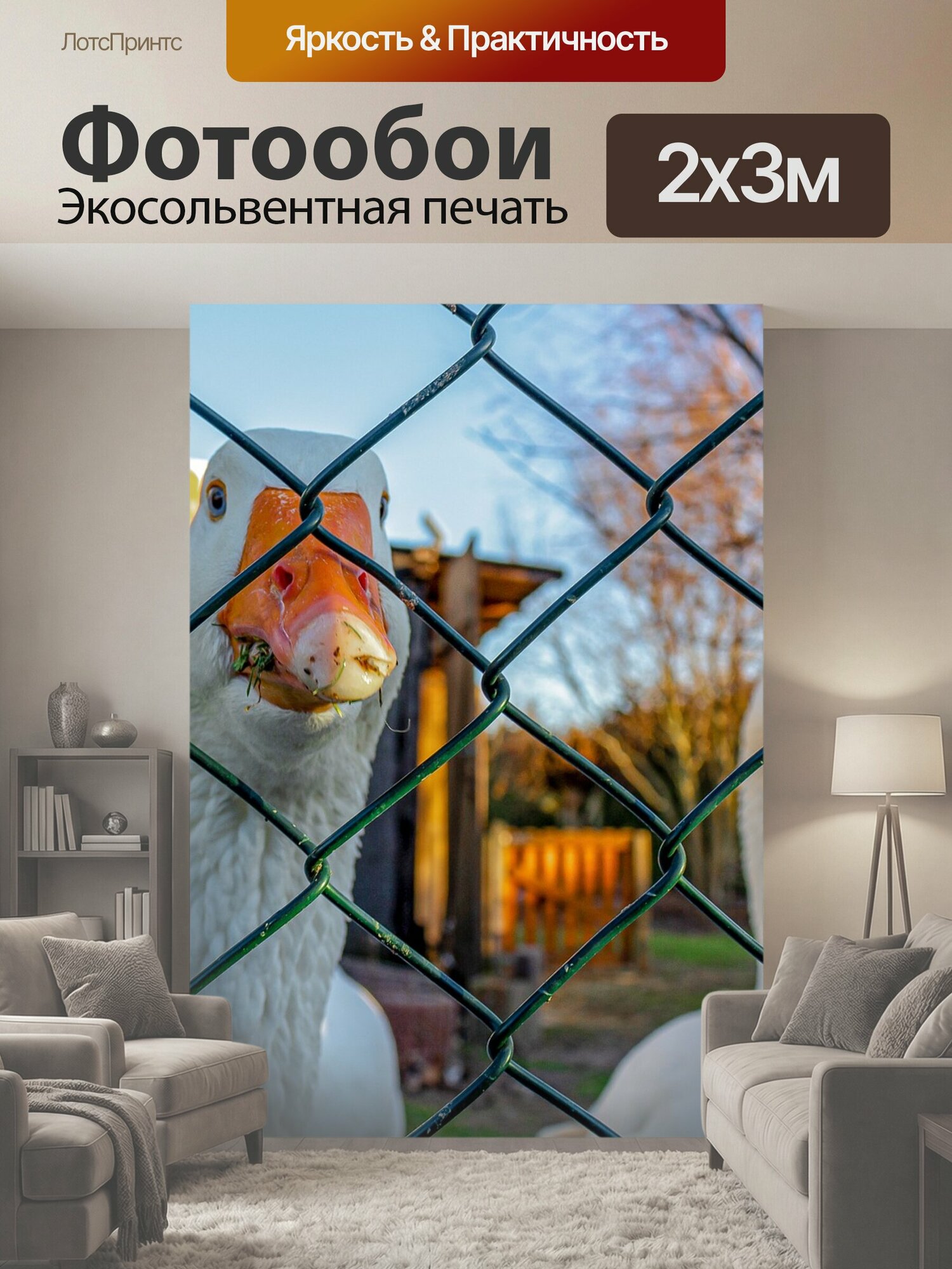 Фотообои "Гуси, животное, птицы" 200x300 см. экосольвентная печать