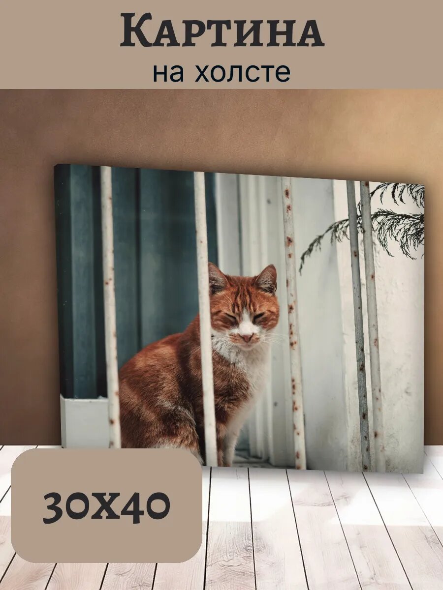 Картина Кот Кошка Cat 30x40 рыжая на решетке